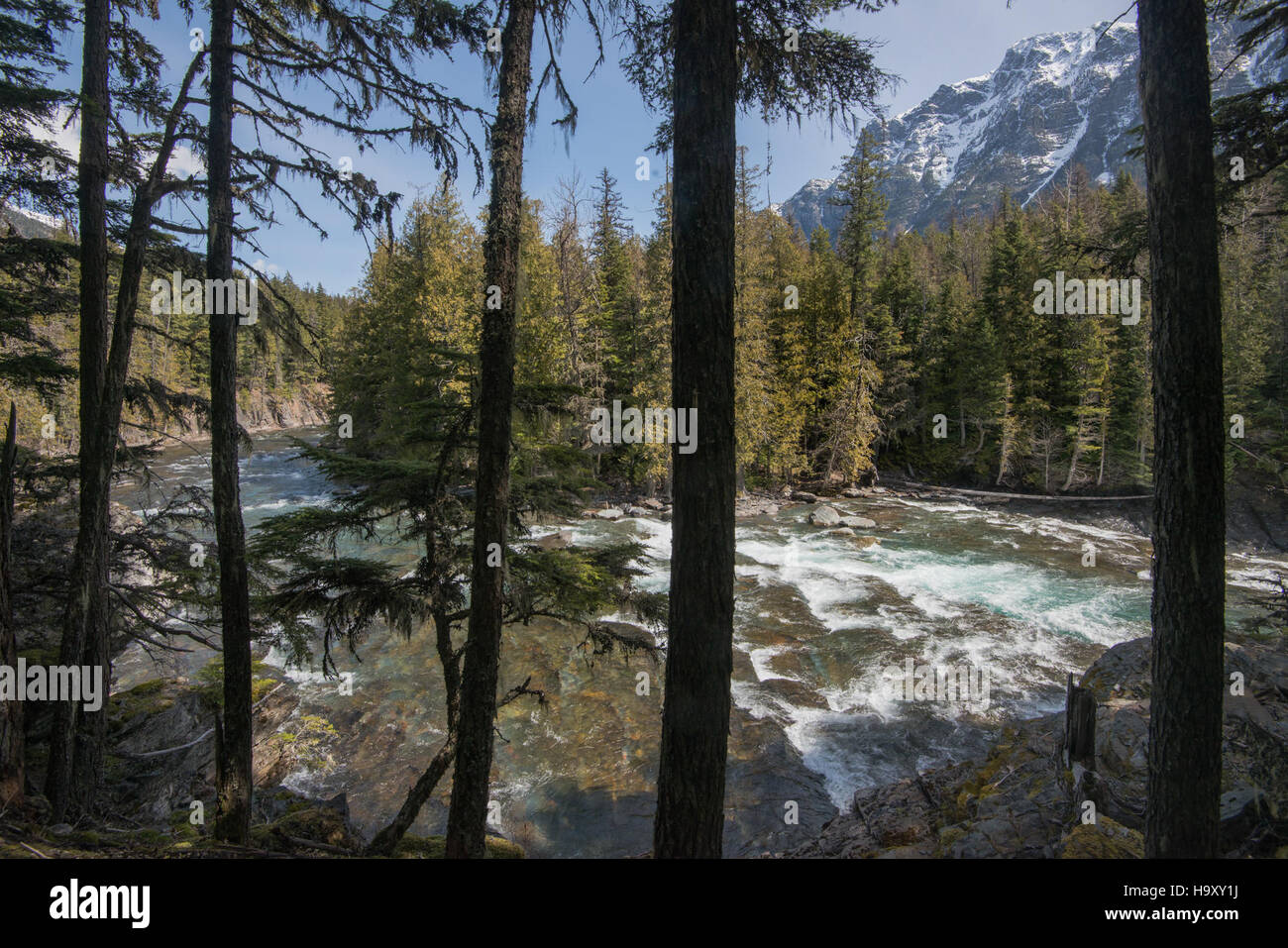 A nature conservation project in a river ecosystem where the river ...
