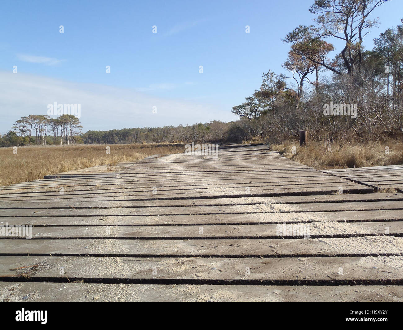 The Marsh Restoration Project at Assateague National Seashore focuses ...