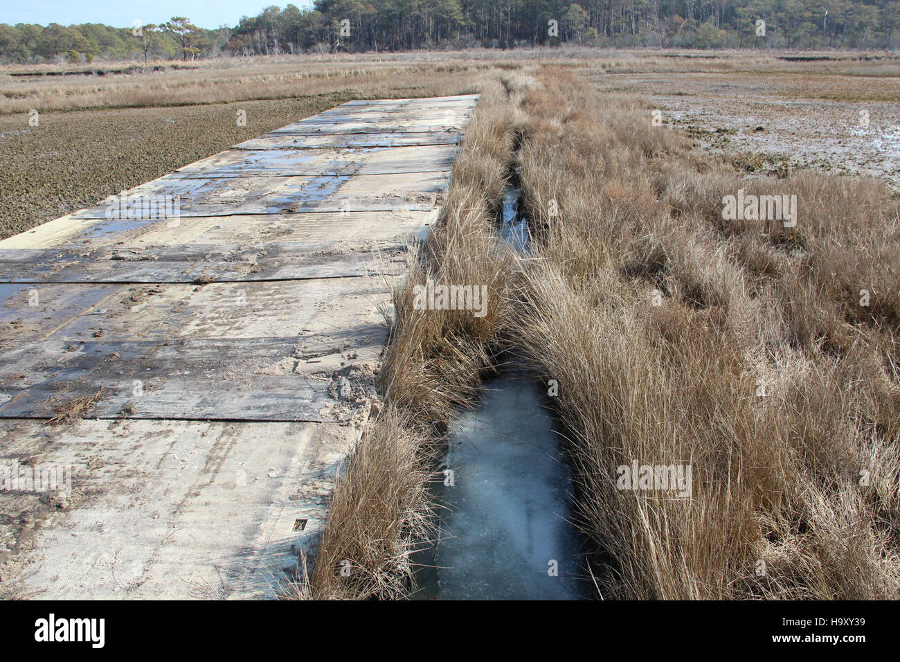 Marsh restoration project hi-res stock photography and images - Alamy