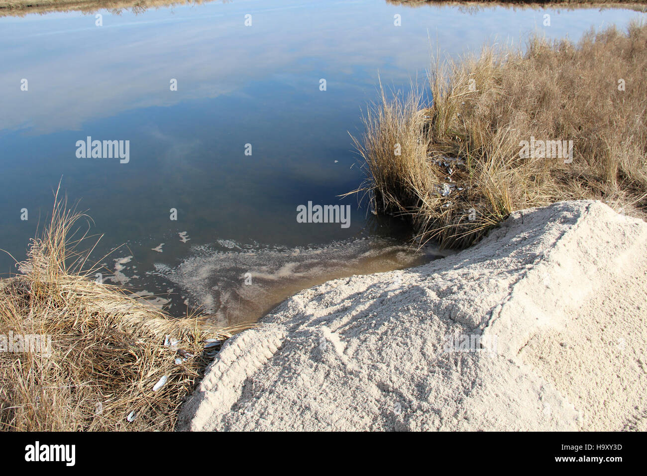 The Marsh Restoration Project at Assateague National Park aims to ...