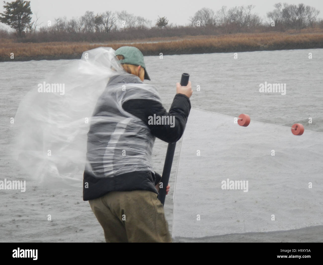 The MAEOE Educator Workshop at Assateague Island National Seashore ...
