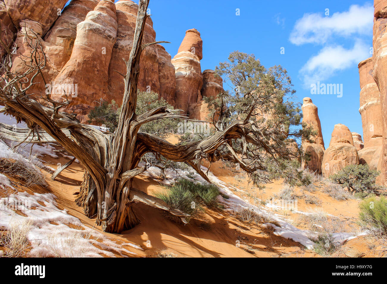 Fiery Furnace, a unique geological formation in Arches National Park ...