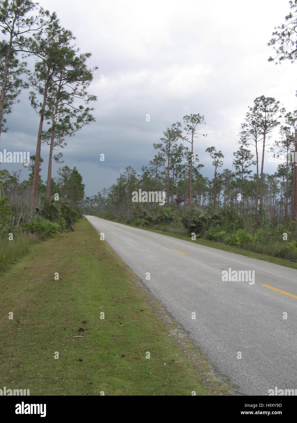 The Long Pine Key Nature Trail in Everglades National Park offers ...