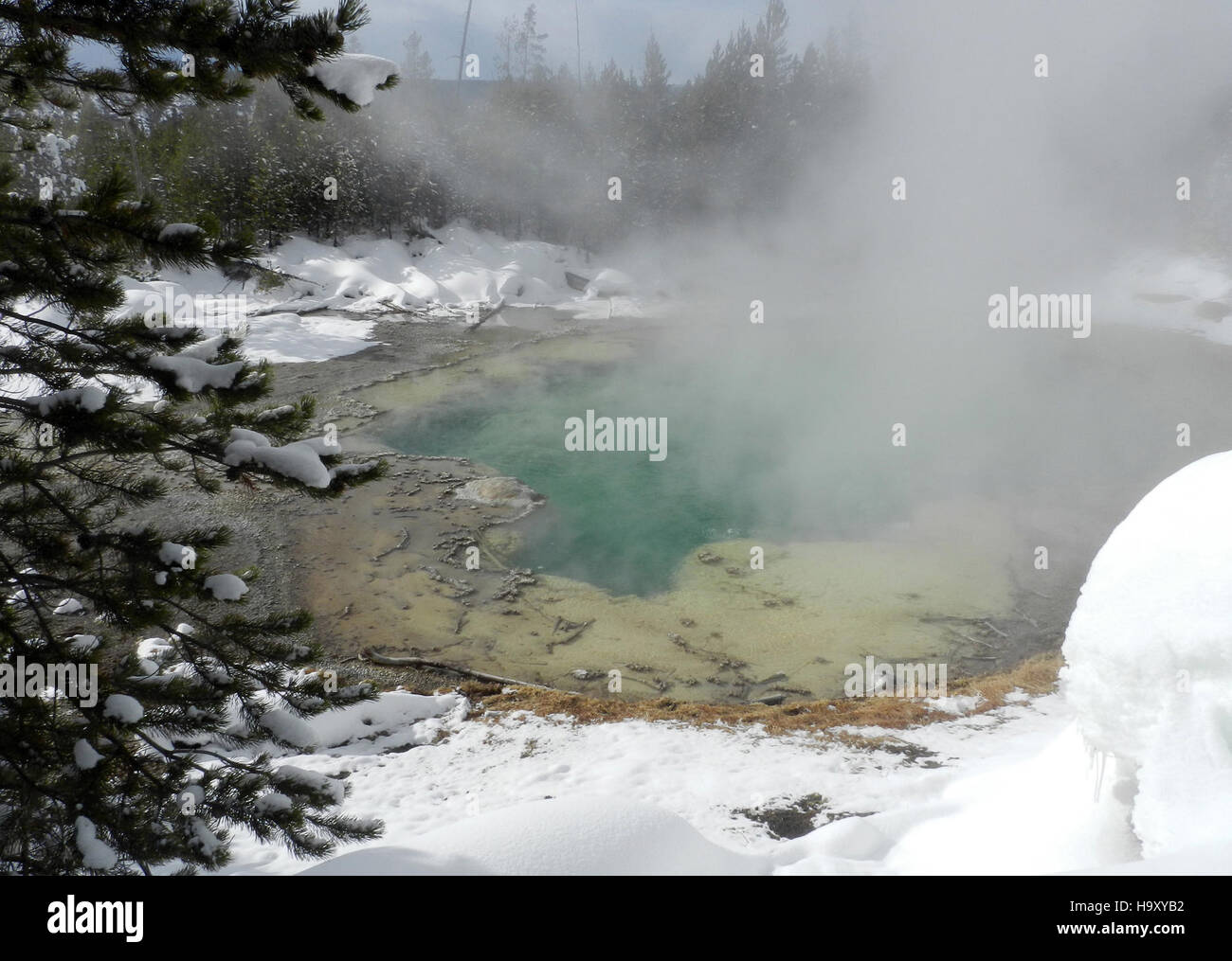 Emerald Spring, located in Yellowstone National Park, is a stunning ...
