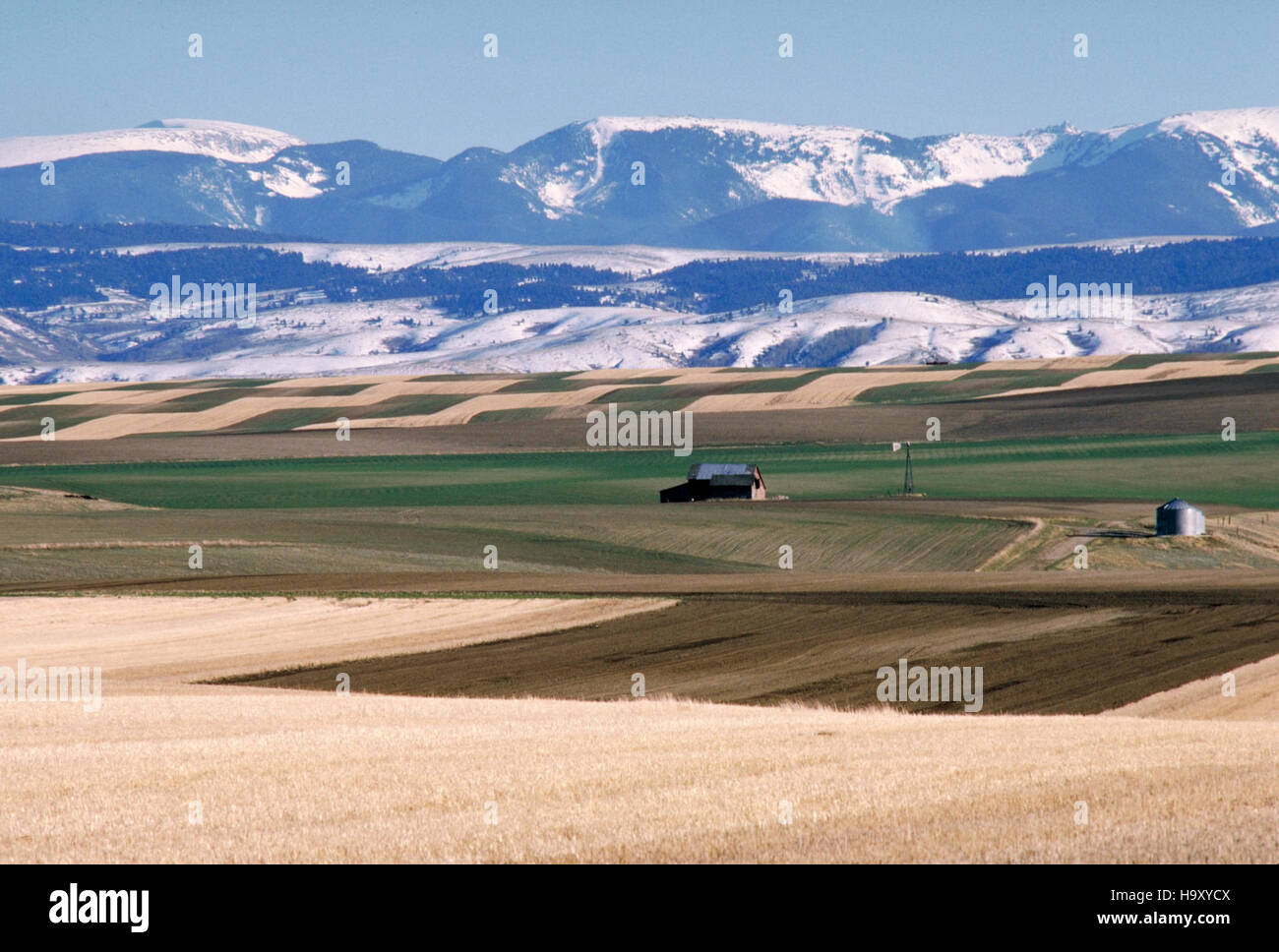 Stripcropping is an agricultural practice where crops are planted in ...