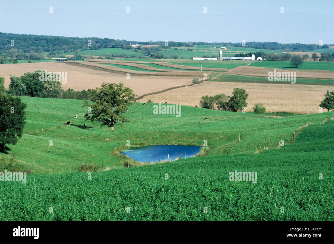 Farm stripcropping is a sustainable agricultural practice where crops ...