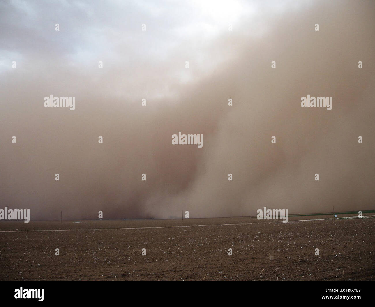 Topsoil from unprotected fields shows the impact of erosion and poor ...