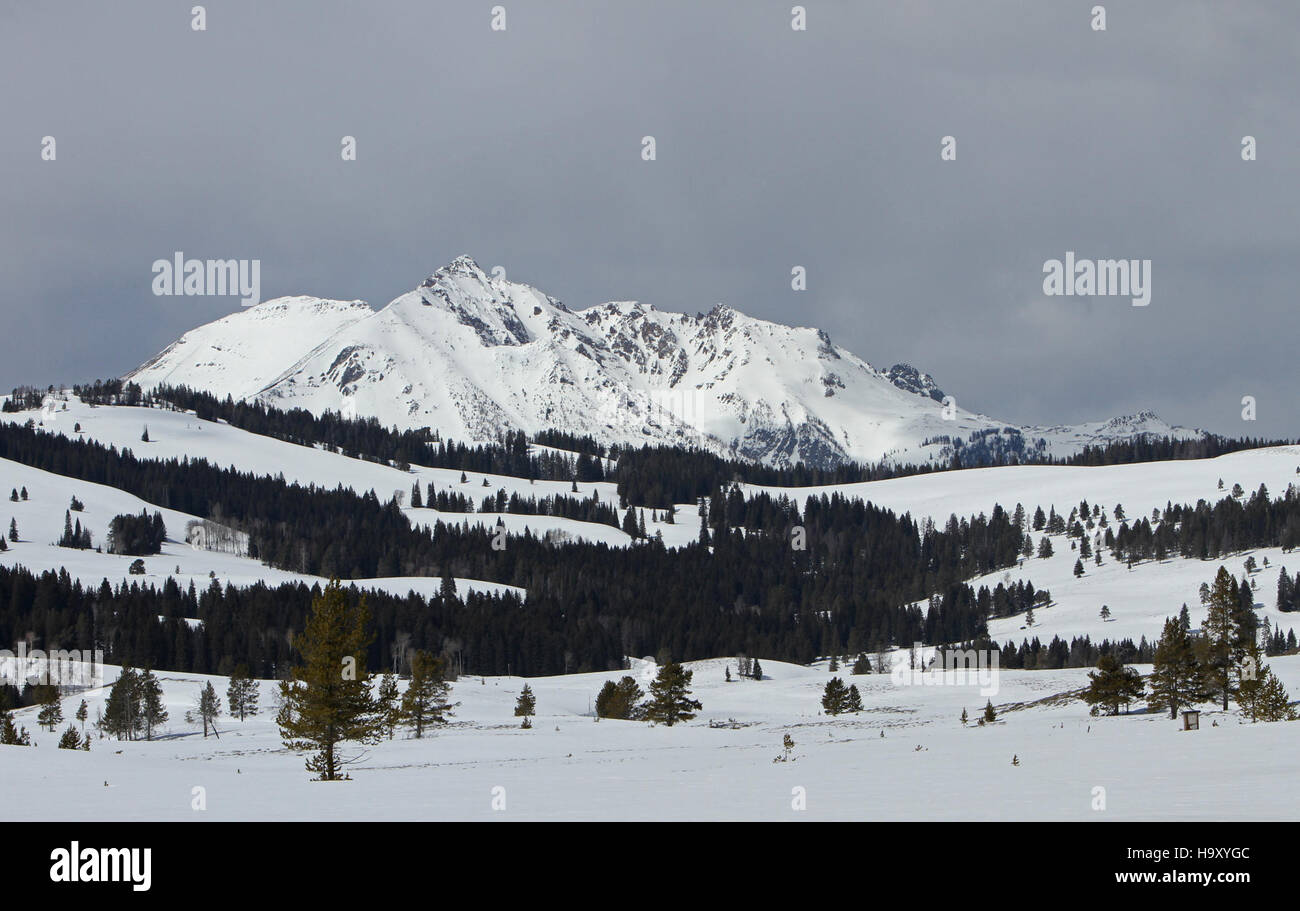 Electric Peak, located in Yellowstone National Park, is a prominent ...