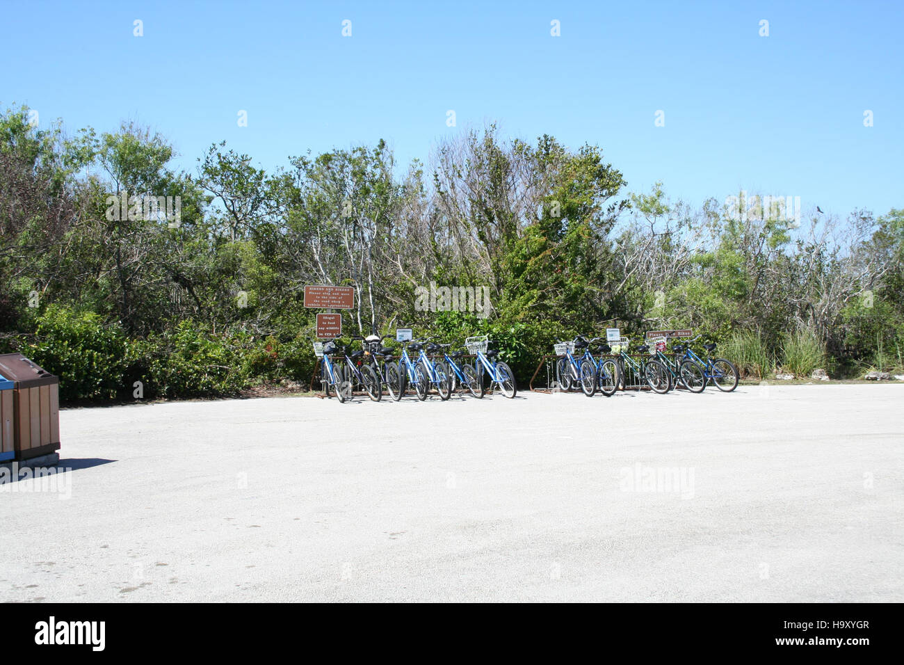 A scenic view of the Shark Valley Tram and Bicycle Road in Everglades ...