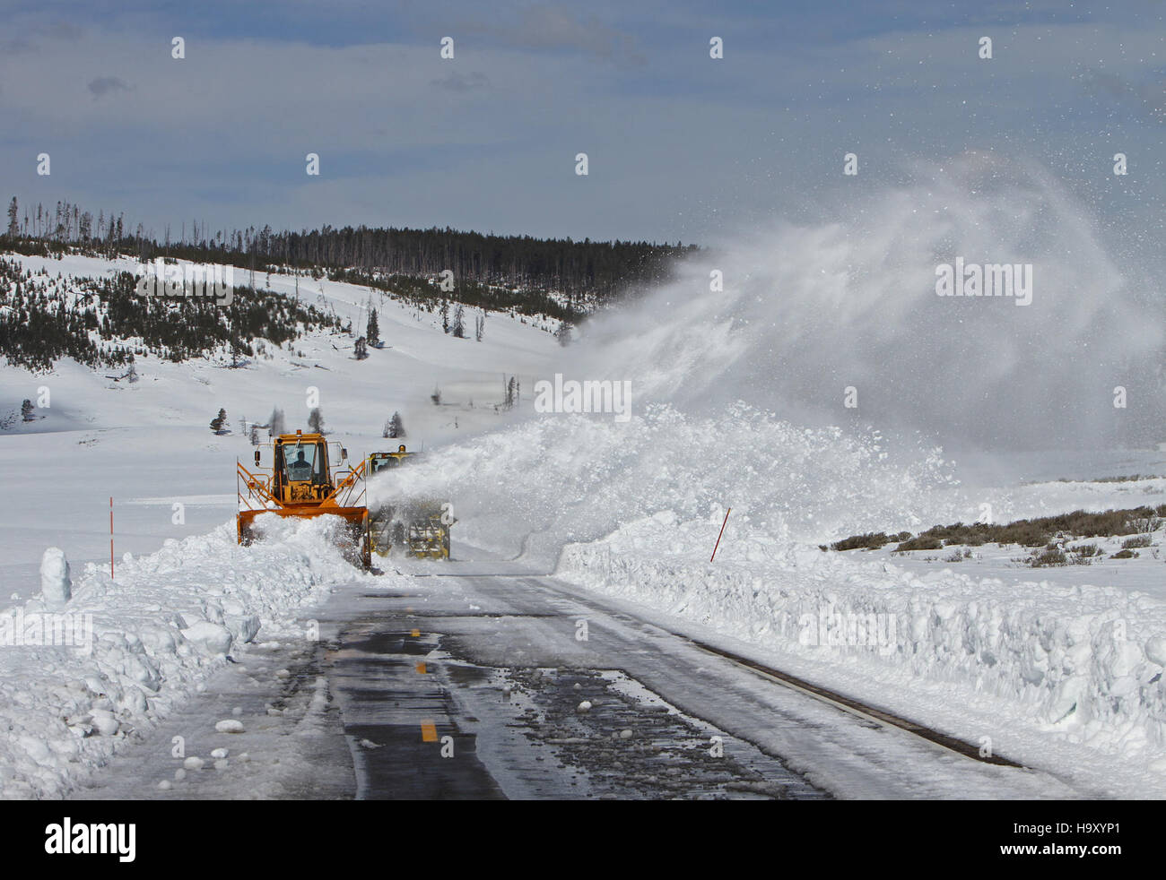 A photo of Yellowstone National Park showcases the park's iconic ...