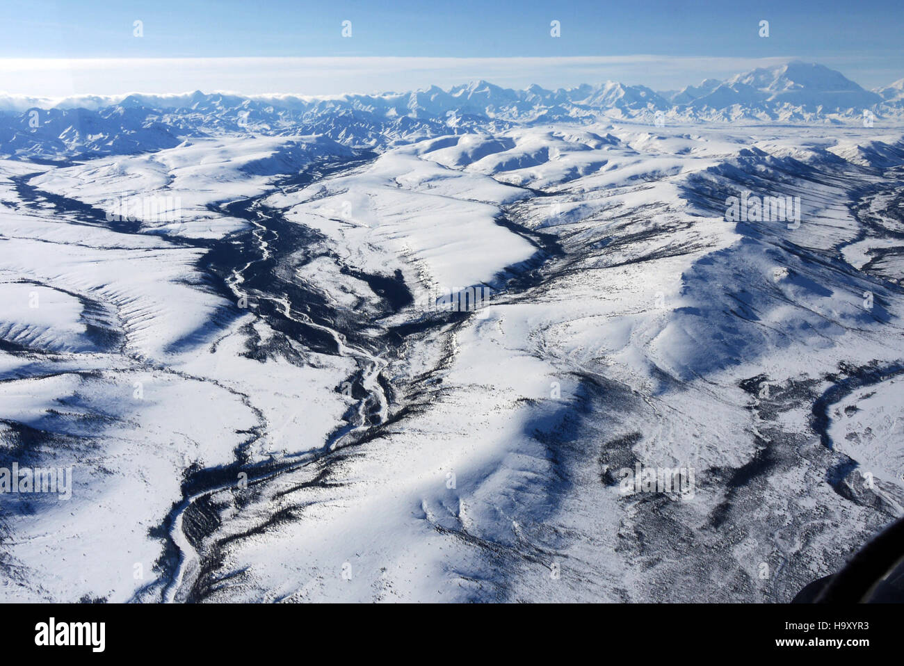 A snowy landscape in Denali National Park, showcasing the stark beauty ...