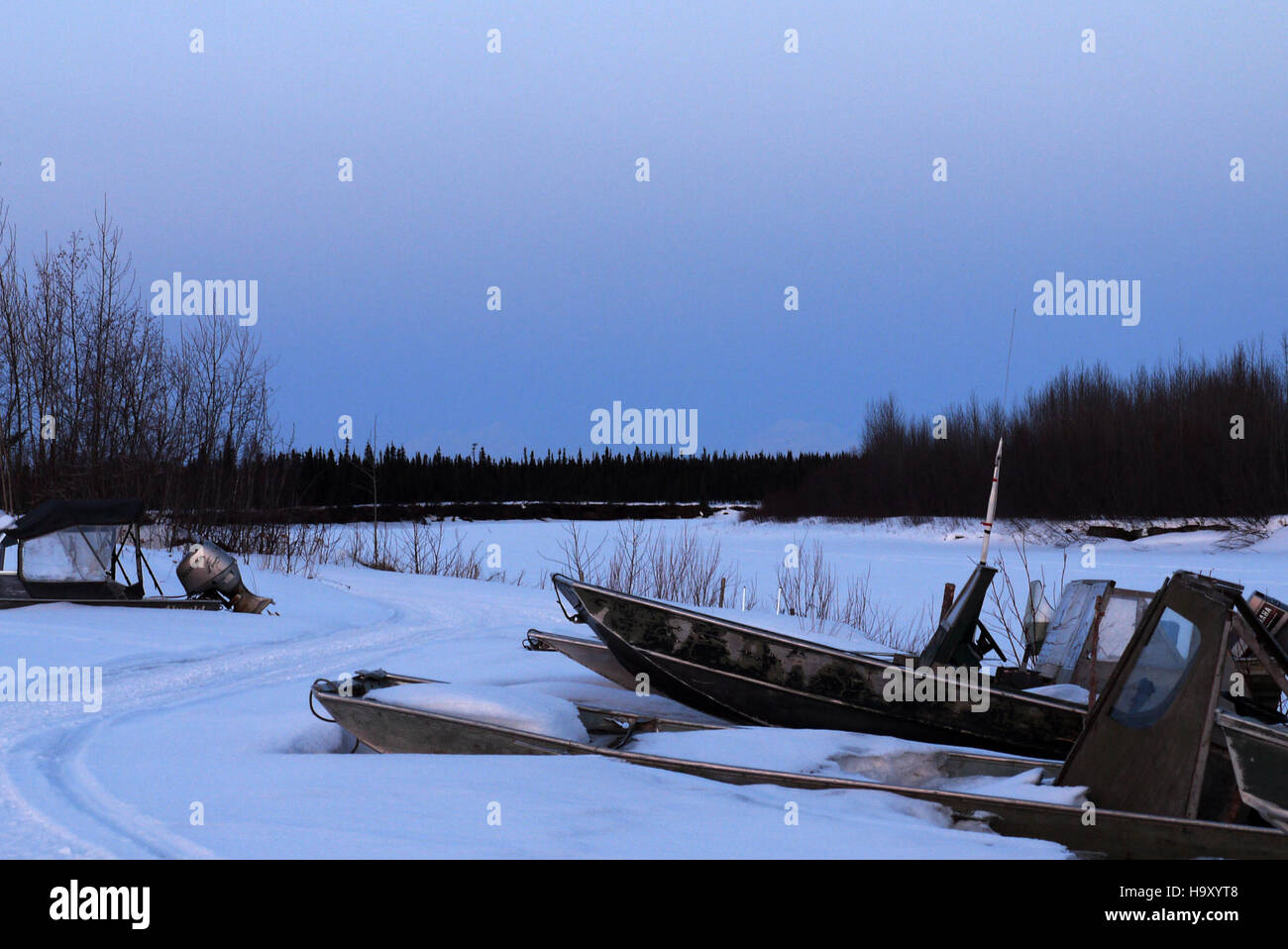 This image shows Nikolai, a notable figure in Denali National Park ...