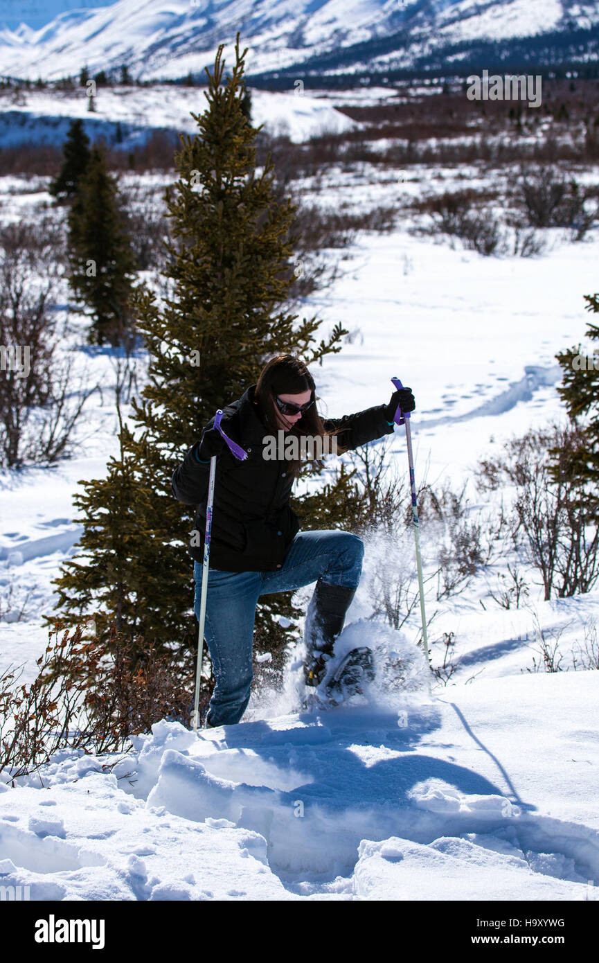 Visitors enjoy snowshoeing at Mountain Vista in Denali National Park ...