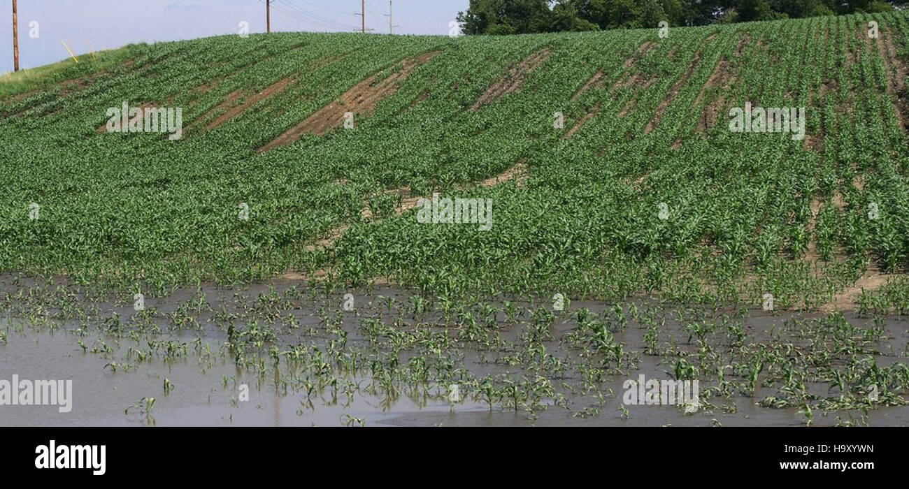 Erosion processes are examined in the context of their impact on ...