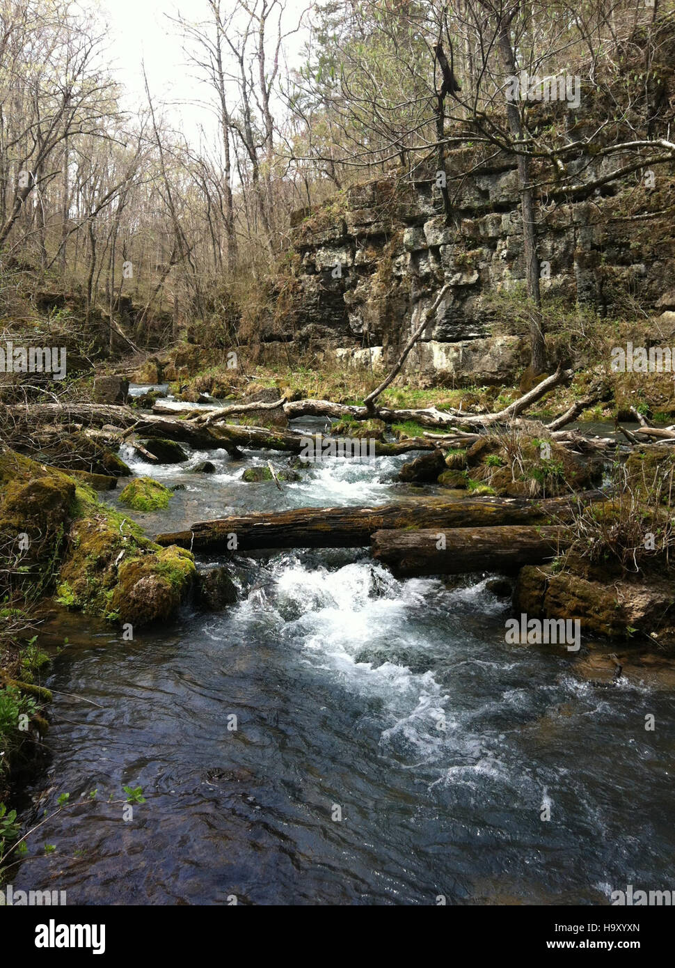 Greer Spring, located in the United States, is a significant freshwater ...