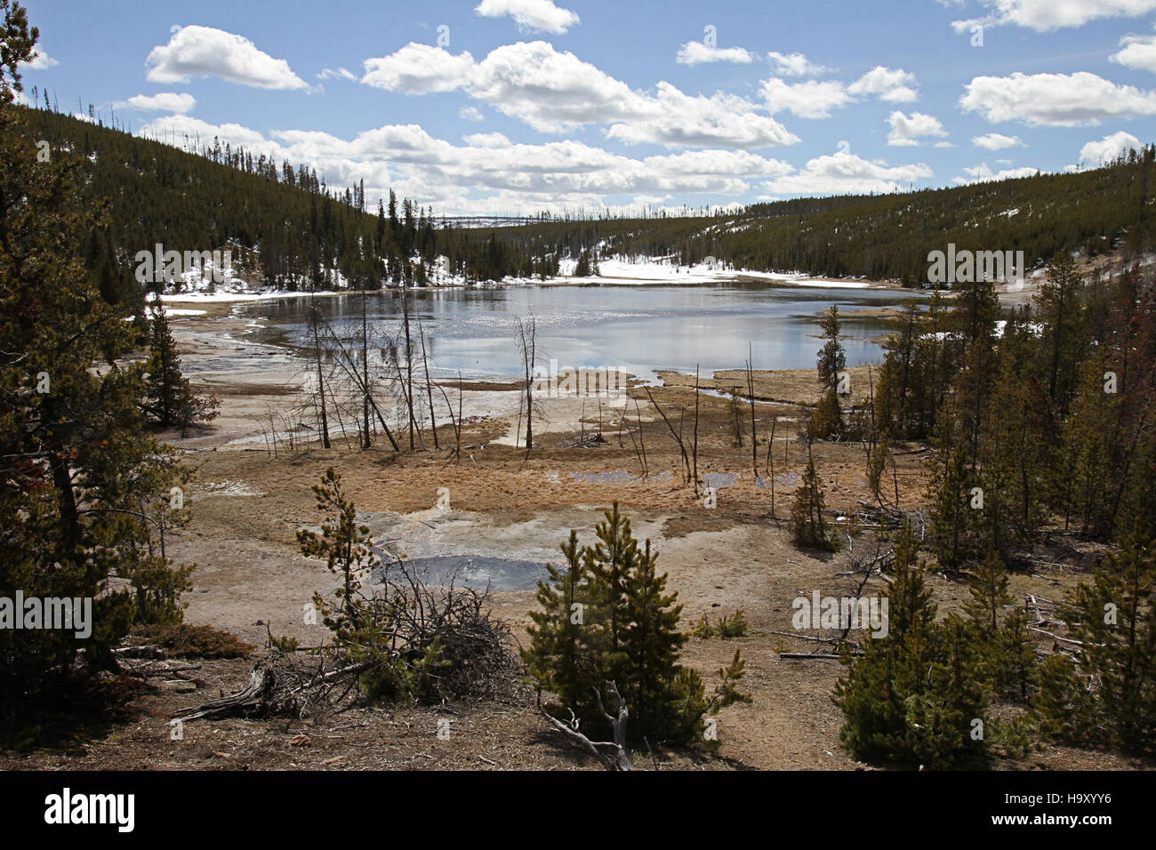 Nymph Lake in Yellowstone National Park is known for its geothermal ...