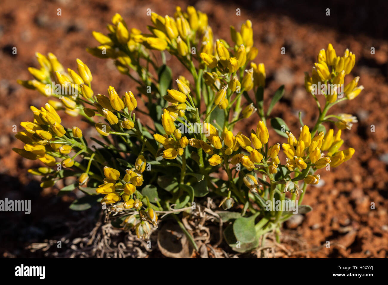 Sharp range hi-res stock photography and images - Alamy