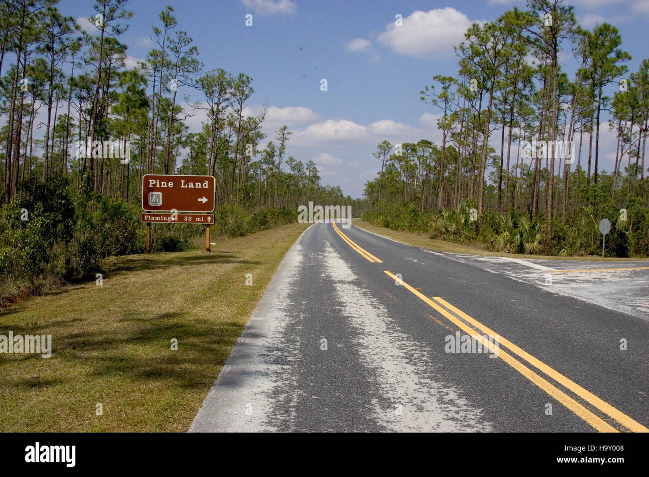 A photo of the Pinelands Trail within Everglades National Park ...