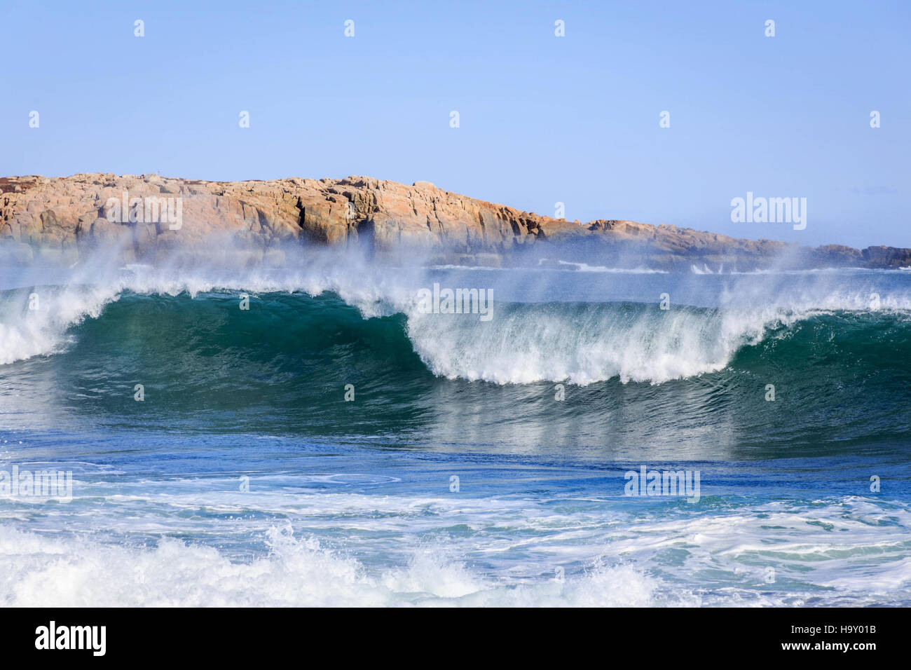 Waves are a fundamental part of coastal ecosystems, impacting erosion ...