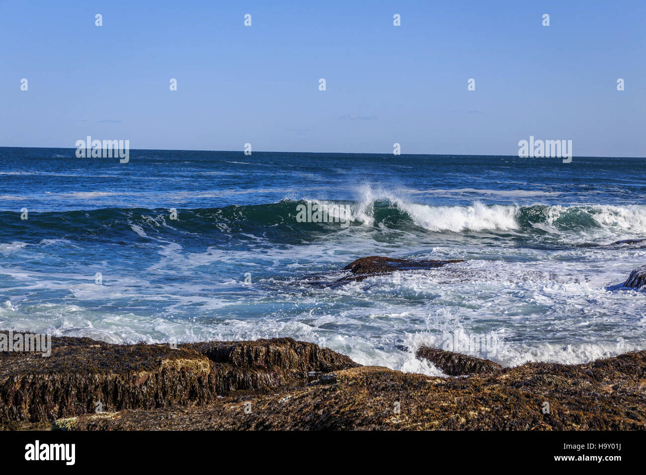 Crashing waves along the coast, depicting the power and beauty of ocean ...