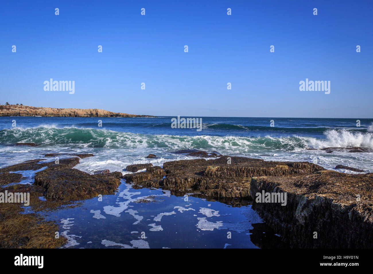 A peaceful coastal wave scene, showcasing the dynamic force of the ...