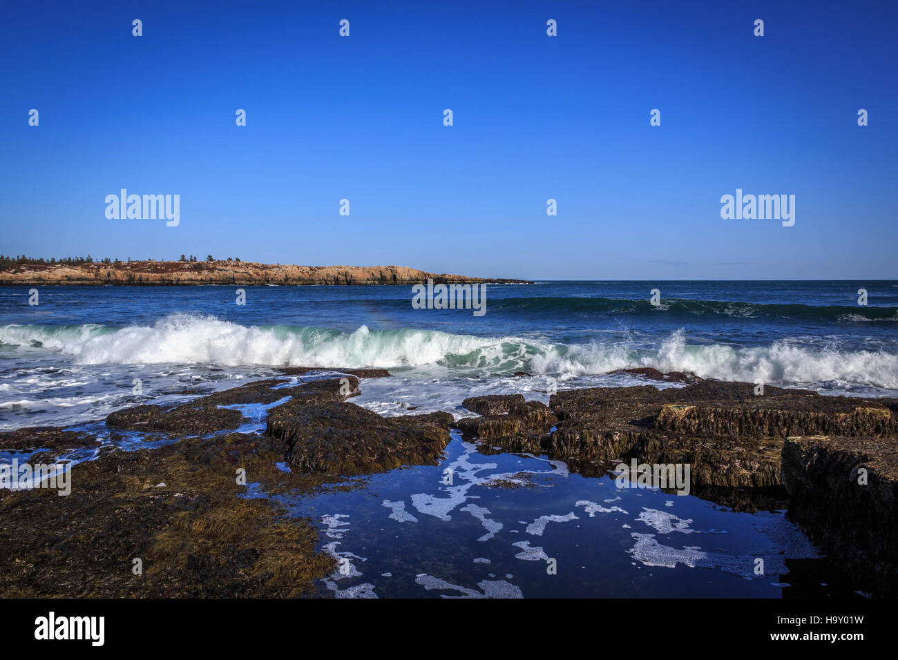 The waves captured in this image highlight the dynamic and ever ...