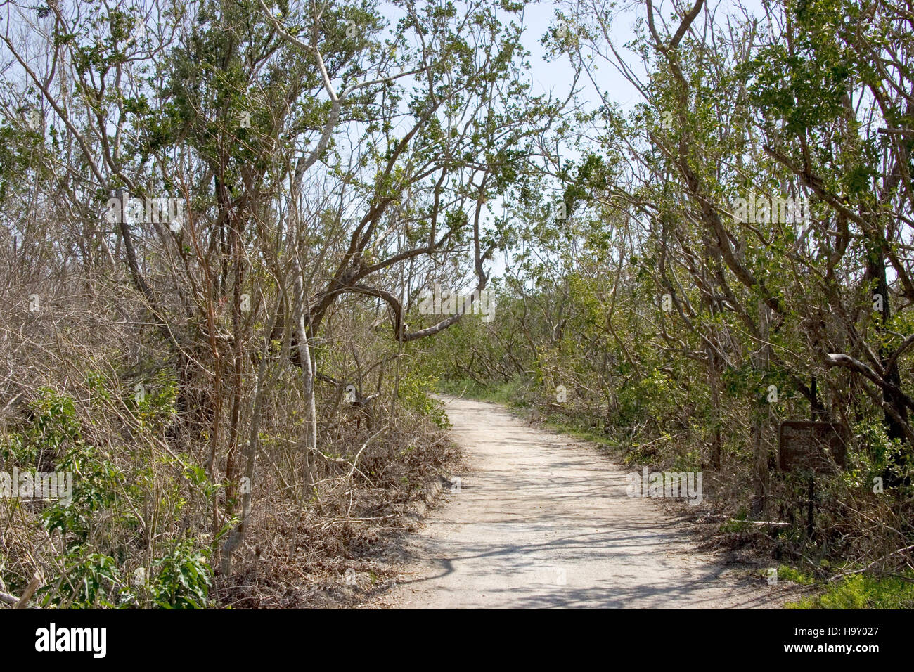 The Rowdy Bend walk in Everglades National Park offers visitors a ...