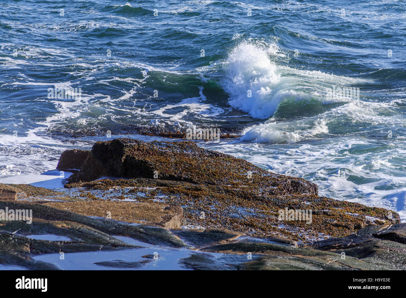 The surf at Schoodic Point in Acadia National Park creates dramatic ...