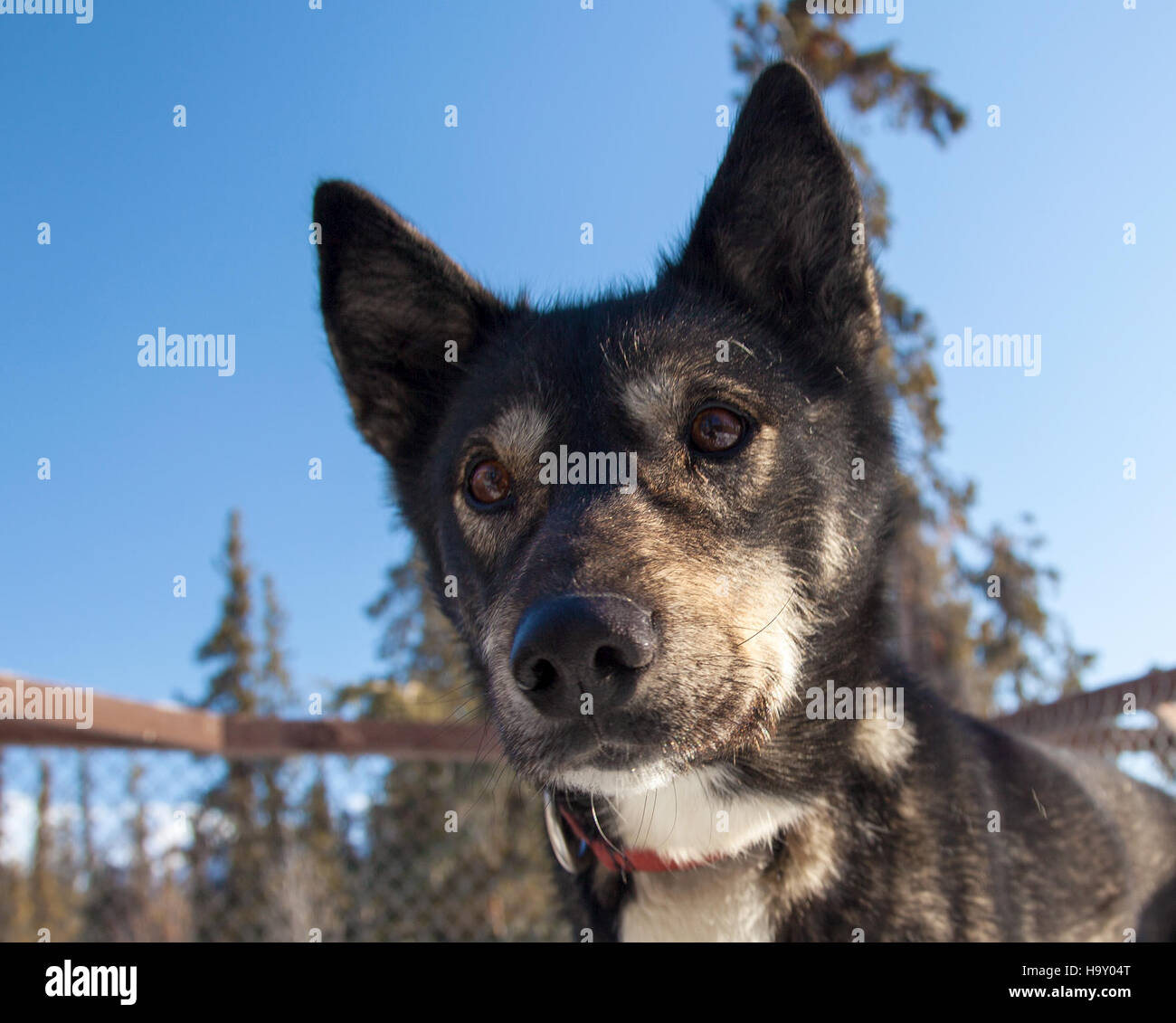 Kavik is an area in Denali National Park that provides a remote, wild ...
