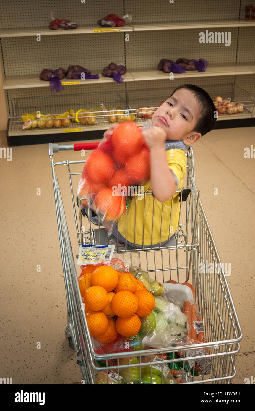 The Food Distribution Program on Indian Reservations (FDPIR) provides ...