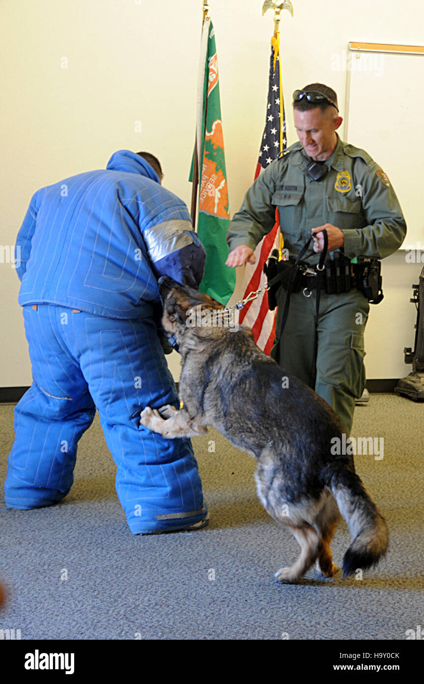Junior Ranger Day at Lake Mead National Recreation Area encourages ...