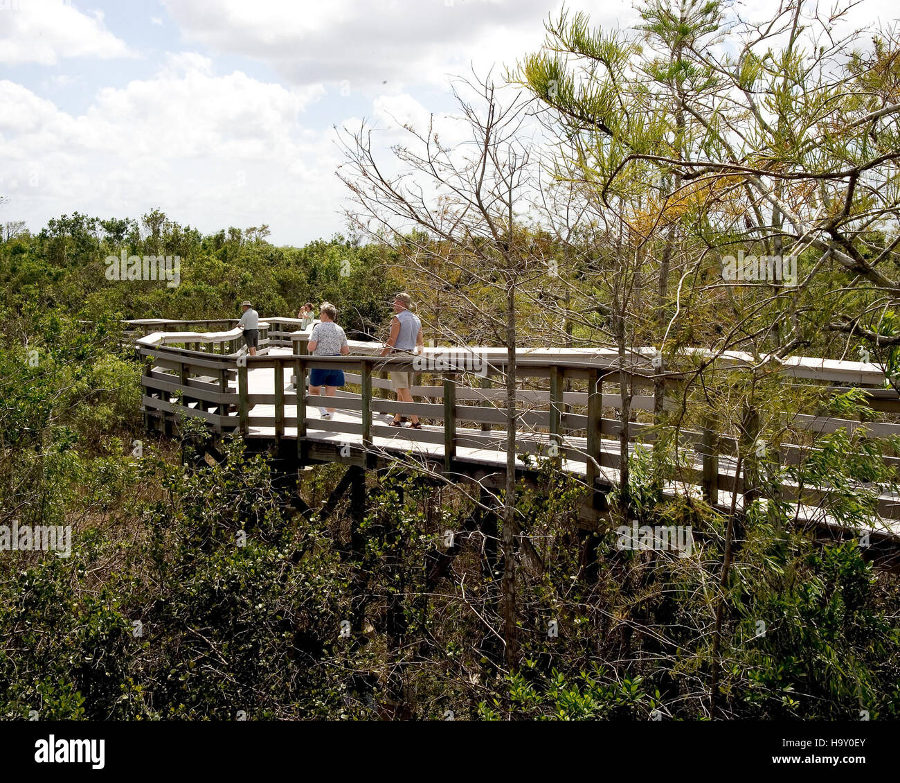The Pay-Hay-Okee Boardwalk in Everglades National Park offers a unique ...