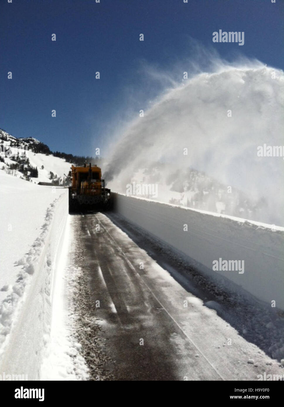 Yellowstone National Park, established in 1872, is the first national ...