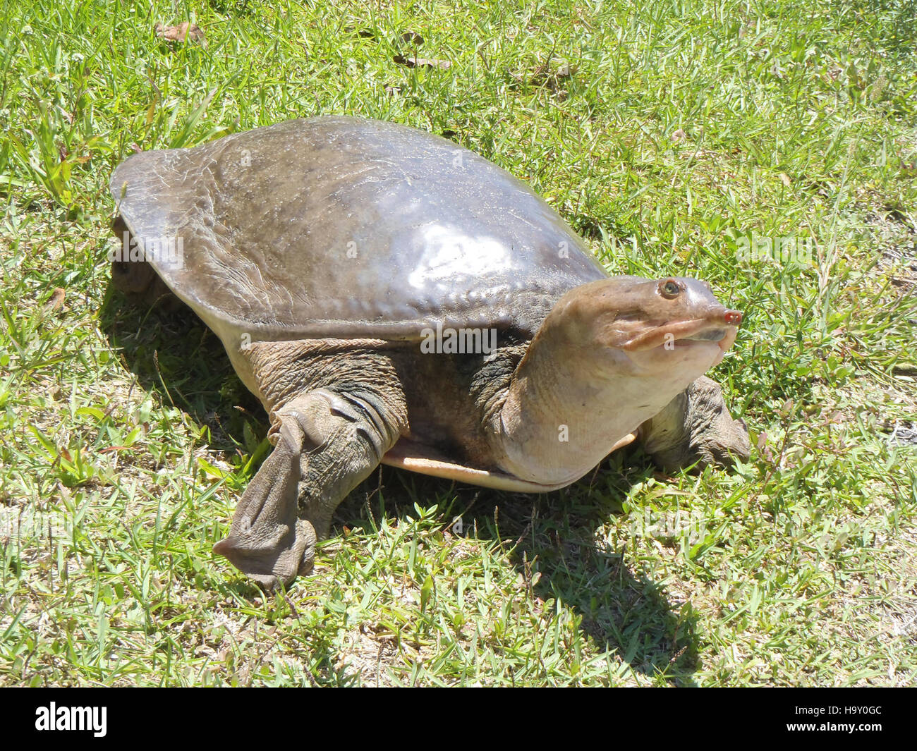 Science soft hi-res stock photography and images - Alamy