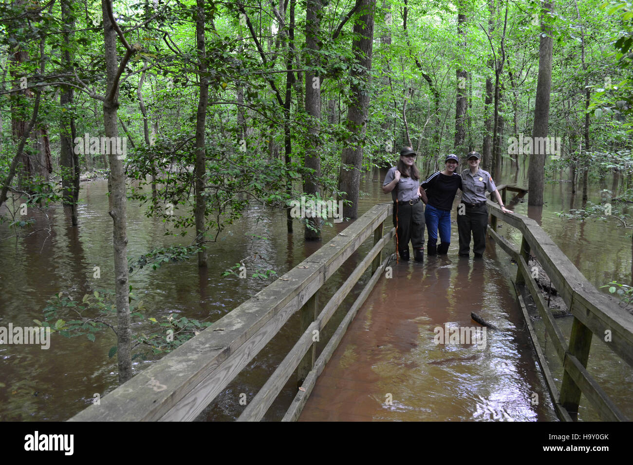 The May 2013 flooding at Congaree National Park resulted in high water ...