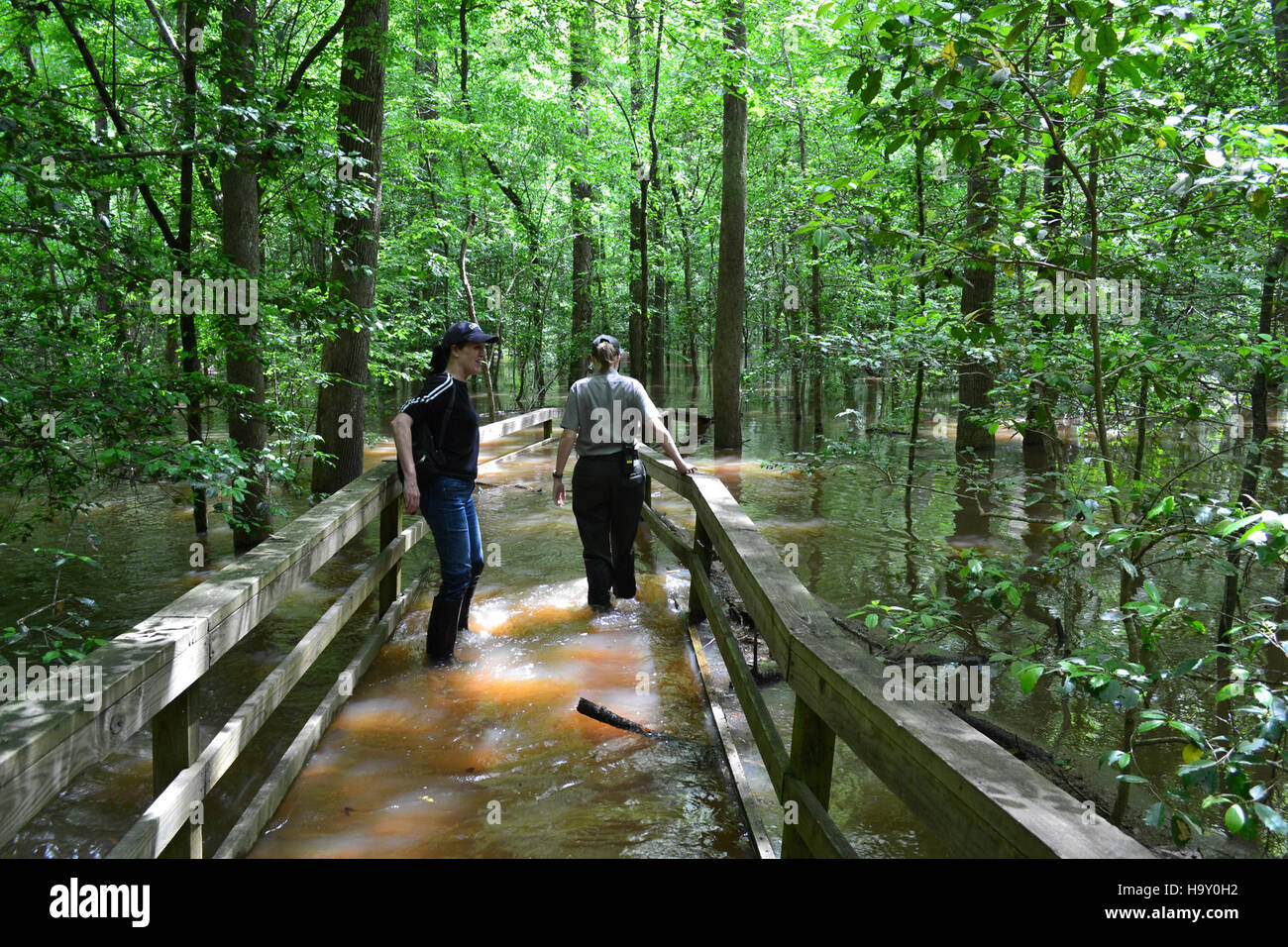 The Congaree National Park experienced significant flooding in May 2013 ...