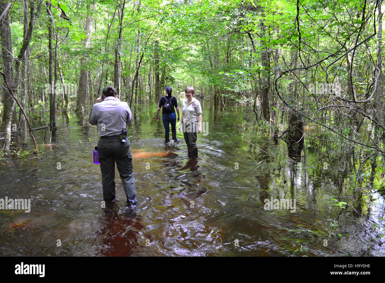 The Congaree River flood of May 2013 significantly impacted Congaree ...