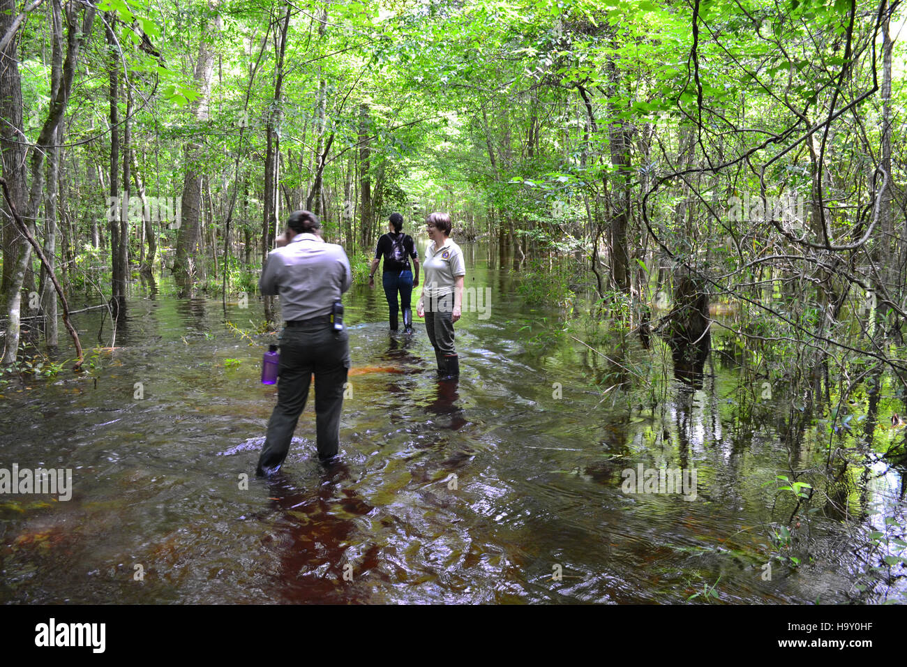 In May 2013, Congaree National Park experienced significant flooding ...