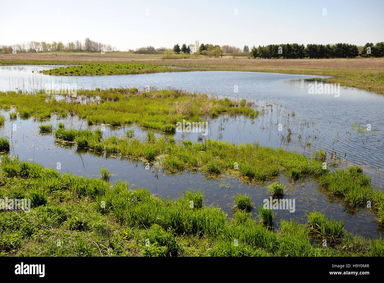 Constructed wetland hi-res stock photography and images - Alamy