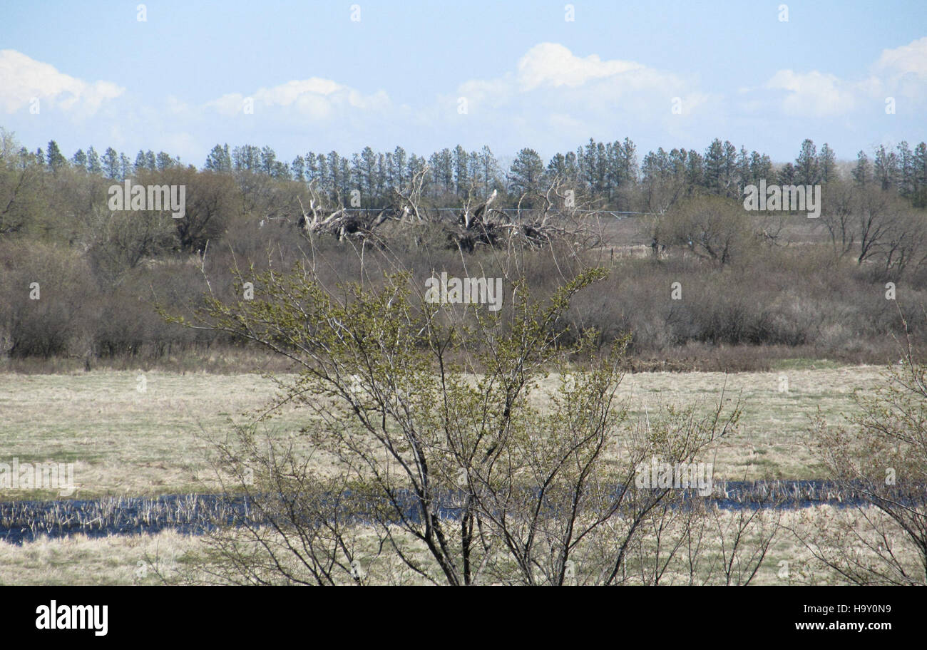 The USDA's Natural Resources Conservation Service (NRCS) works to ...