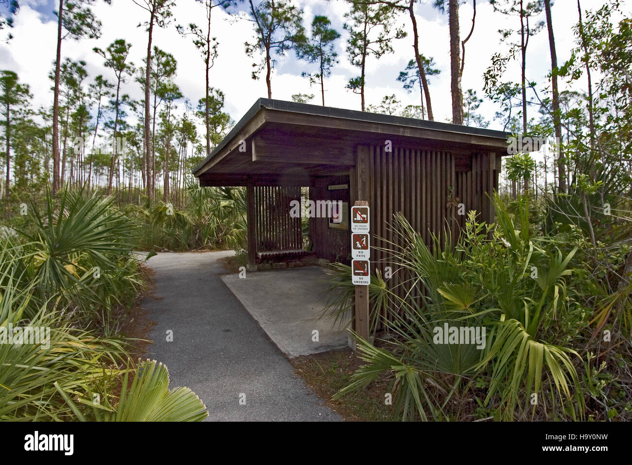 evergladesnps 9258057864 Pinelands Trail (7), NPSPhoto Stock Photo - Alamy