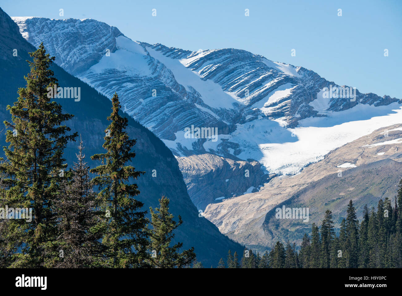 Jackson Glacier Overlook in Glacier National Park offers stunning views ...