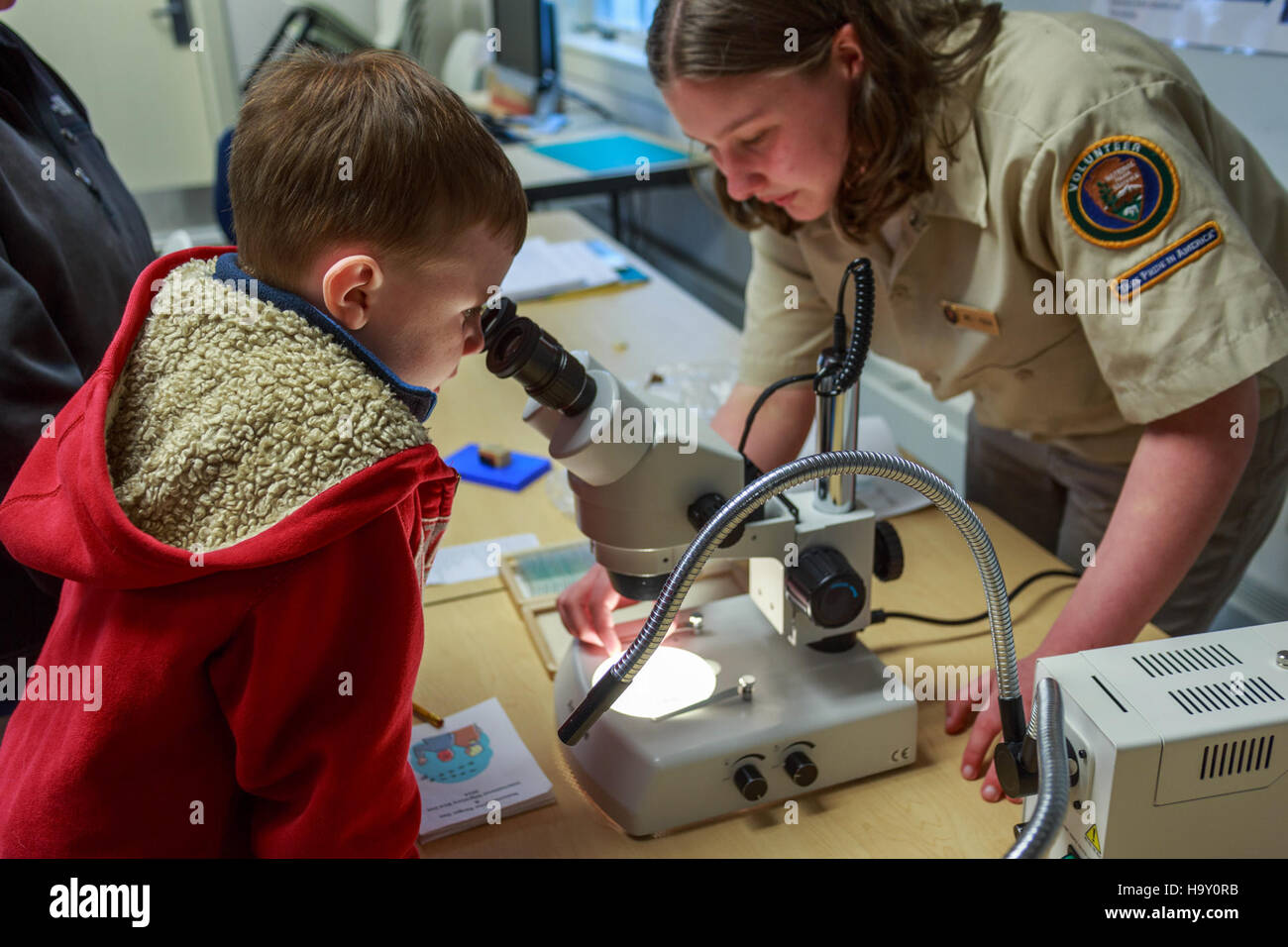 Junior Ranger Day at a national park provides children with the chance ...