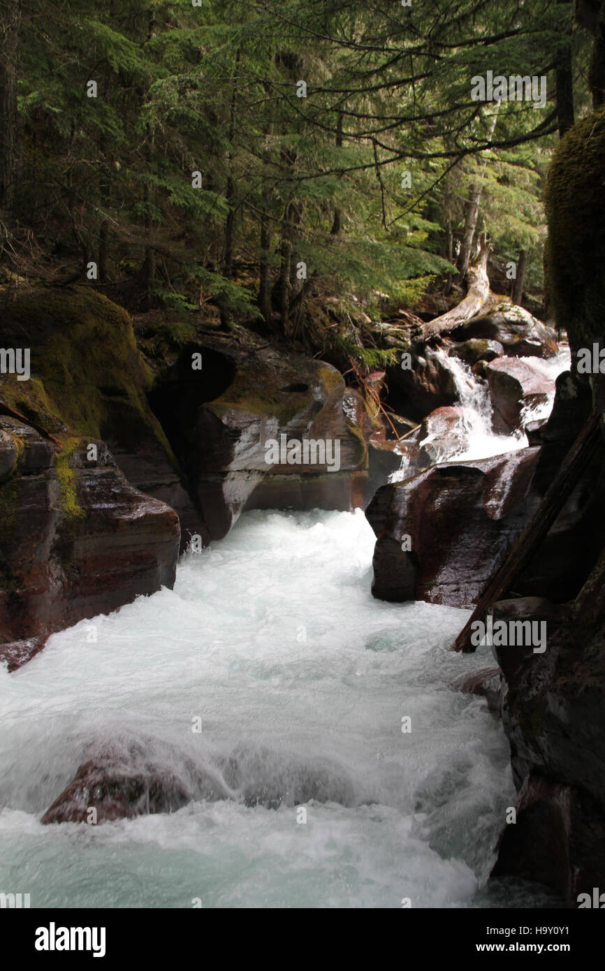 Avalanche Gorge in Glacier National Park is a stunning natural feature ...