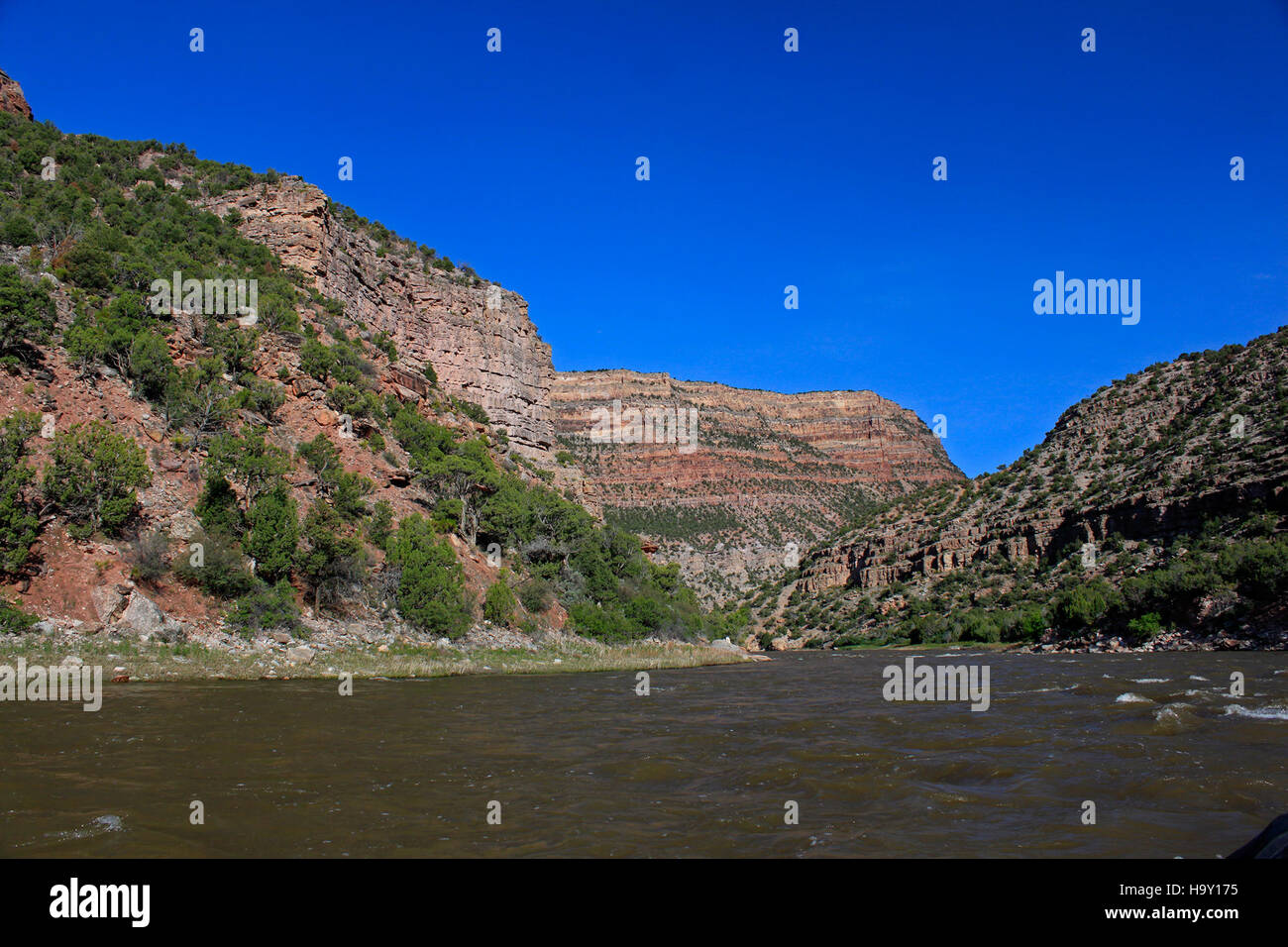 Fossils in understanding hi-res stock photography and images - Alamy