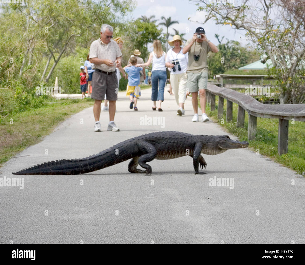 Safe interactions hi-res stock photography and images - Alamy