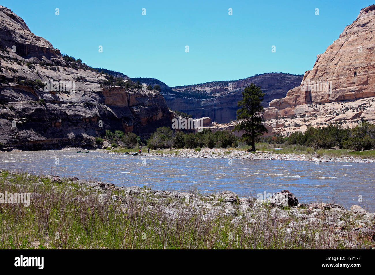 A well-preserved image of a dinosaur fossil in Dinosaur National ...