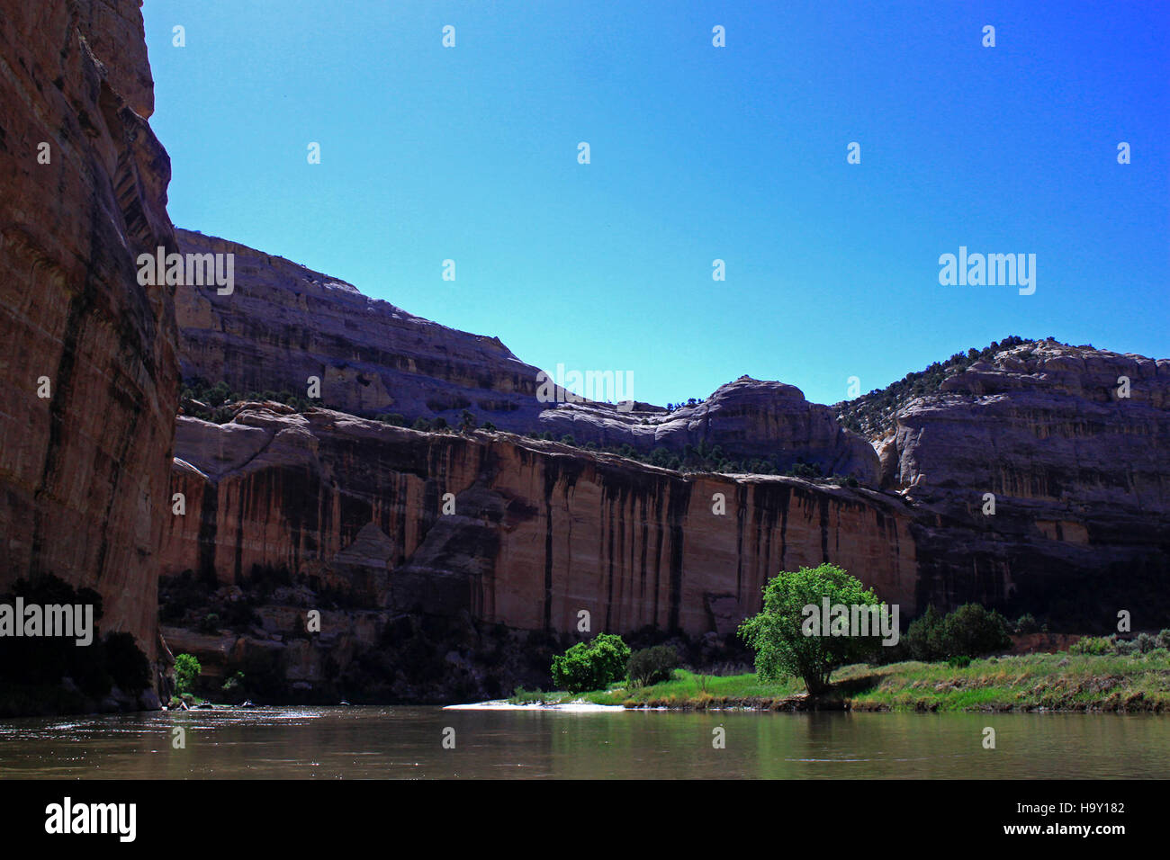 An image from Dinosaur National Monument showcasing the region's rich ...