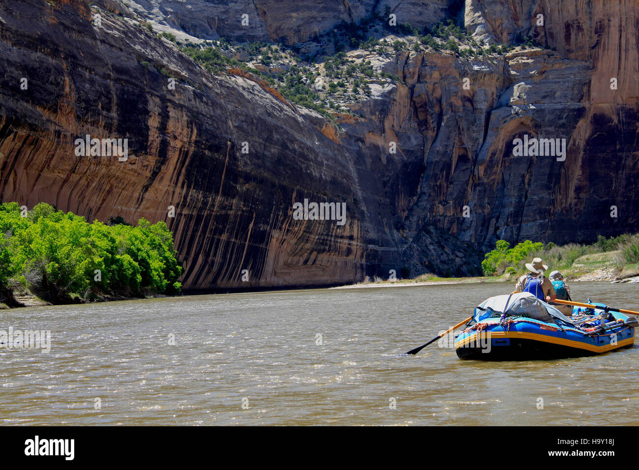 A dinosaur fossil is displayed at the Dinosaur National Monument ...