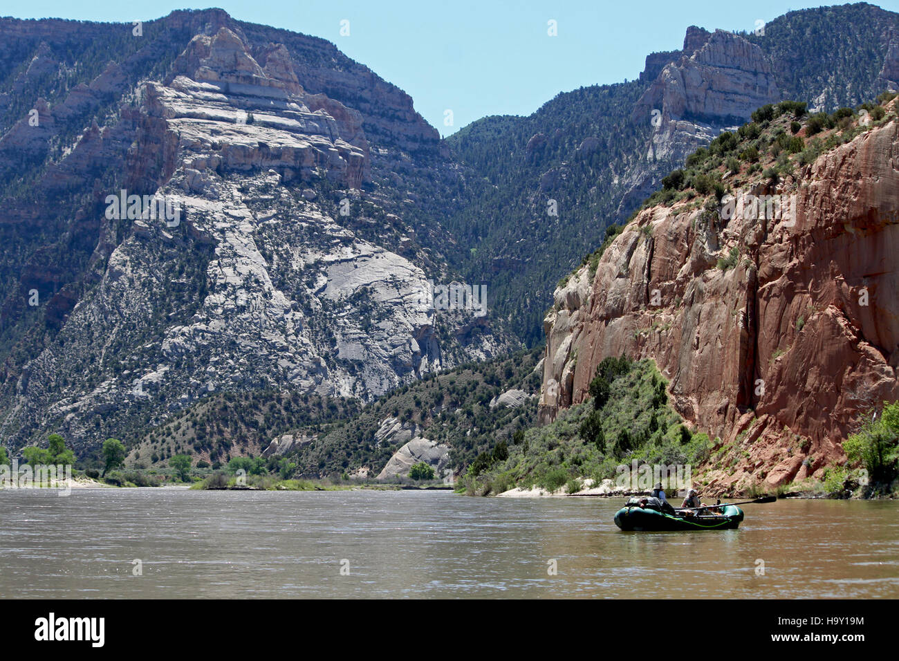 Prehistoric ecosystem natural history hi-res stock photography and ...